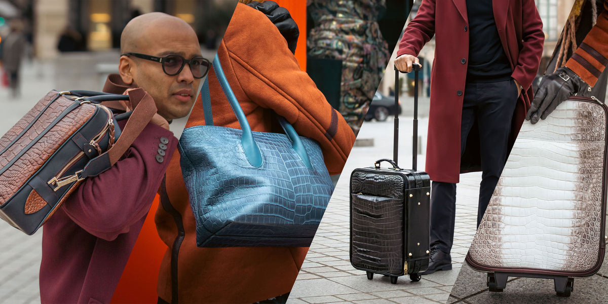 Bags and Travel – ABP Concept